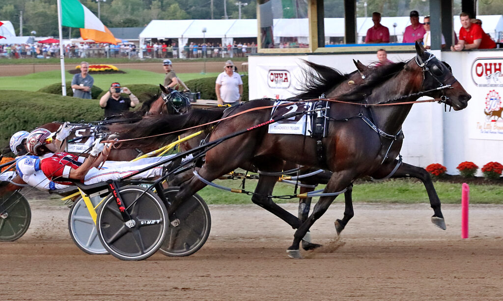 Treacherous Dragon Takes the 52nd Jugette - Little Brown Jug