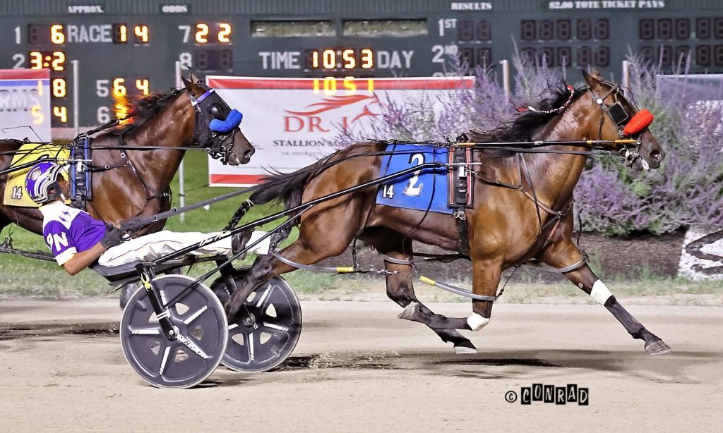 Ohio Bred Supplements into the 55th Jugette - Little Brown Jug